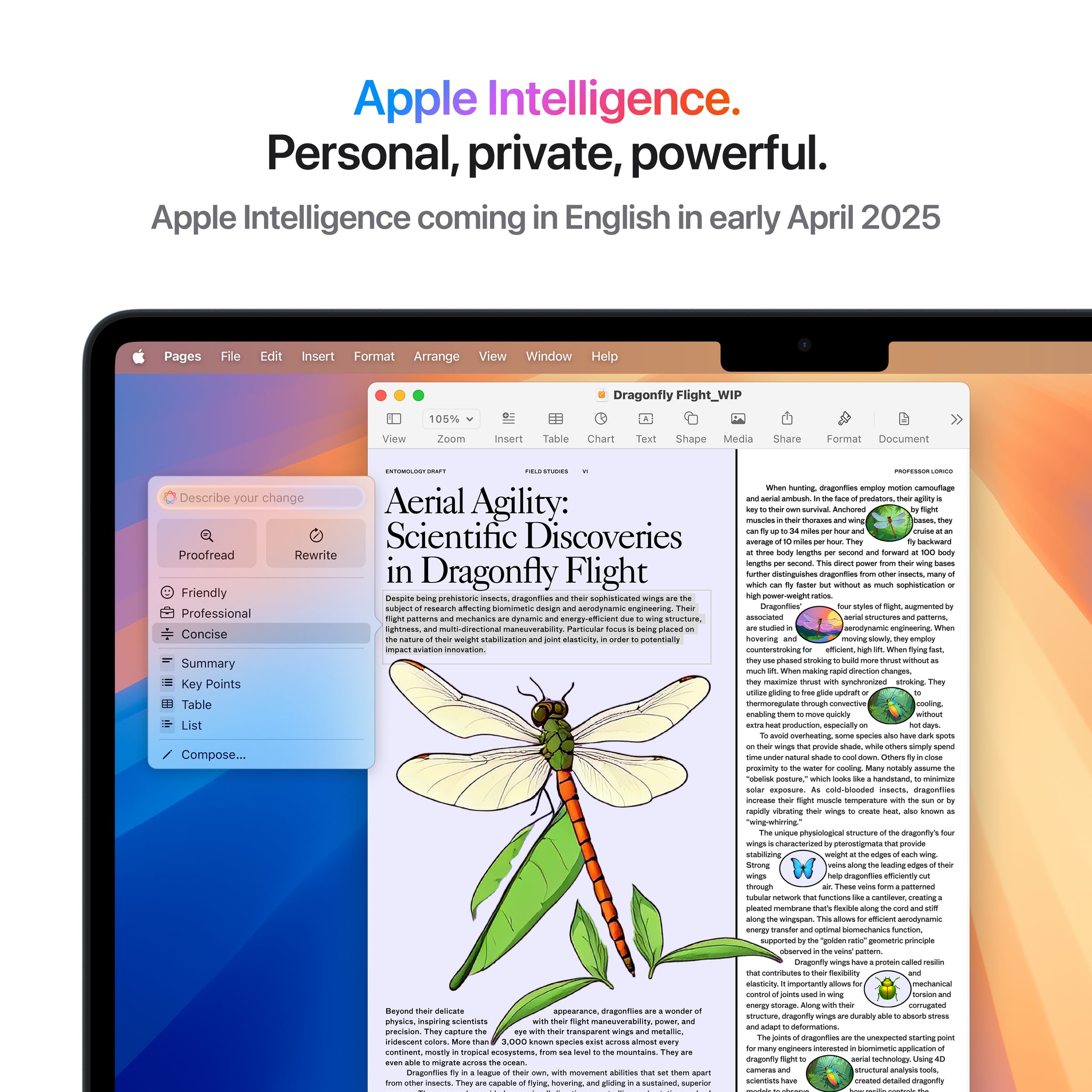 13-inch MacBook Air M4 16GB RAM 512GB SSD – Light & Powerful – Imagine ...